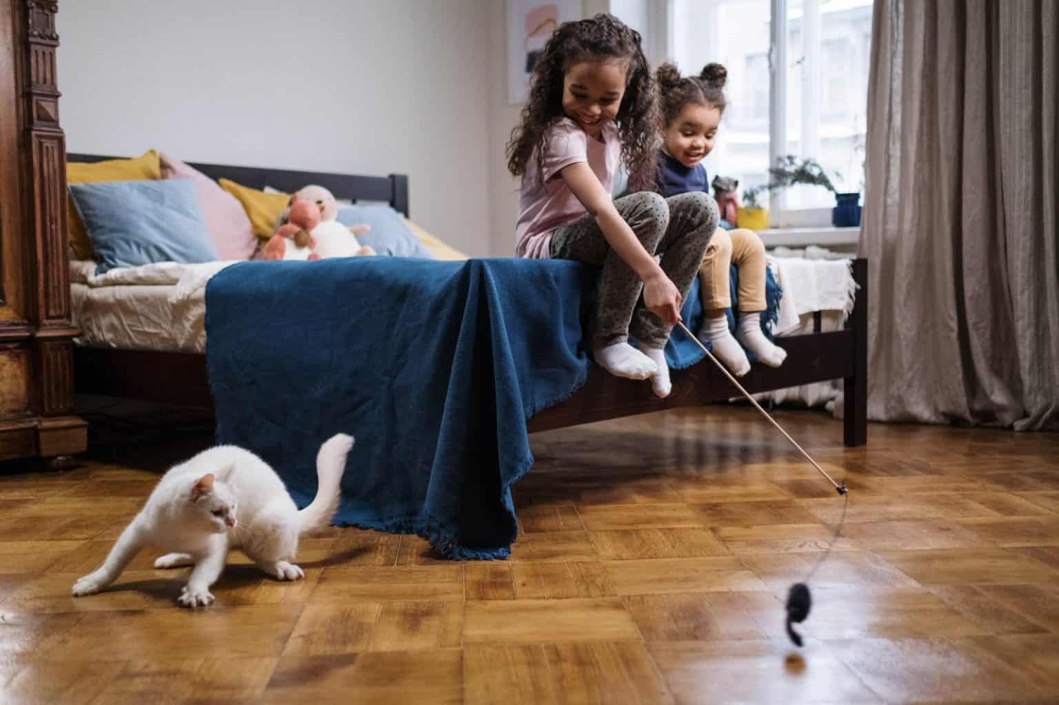 Why Cat Keeps Stepping In Poop and Tips To Avoid That - Creature Clinic